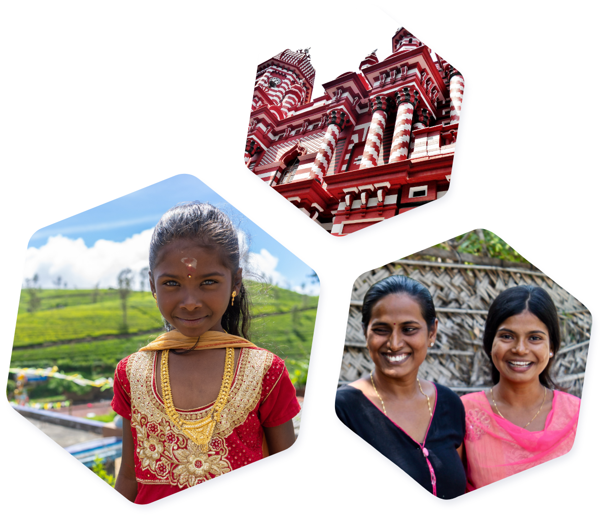 Convert CAD To LKR Canadian Dollar To Sri Lankan Rupee Convert CAD To LKR Canadian Dollar To Sri Lankan Rupee