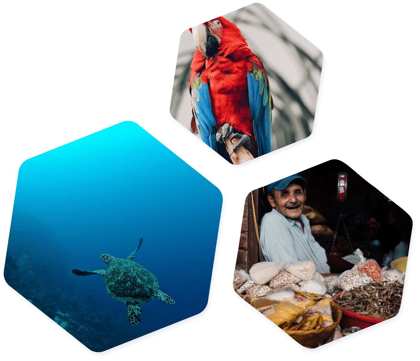 Send Money to Banrural at Best Rates with Remitbee